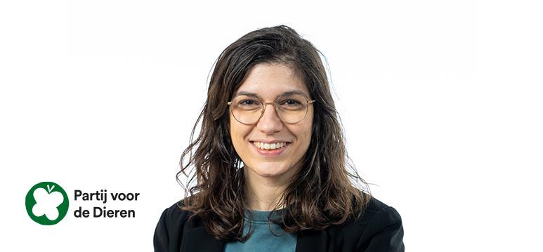 Biografie, onderwijs en loopbaan van Ines Kostić | Tweede Kamer der ...